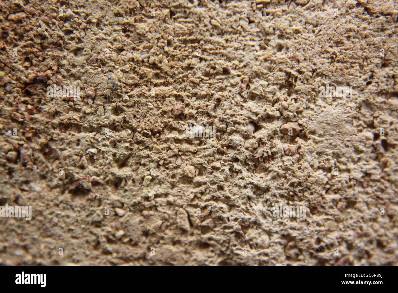 Very common backyard brick, apricot color Stock Photo - Alamy