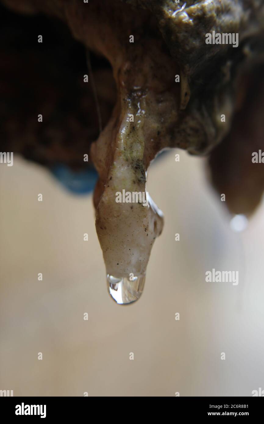 Very common watery backyard rocks and drippings Stock Photo - Alamy