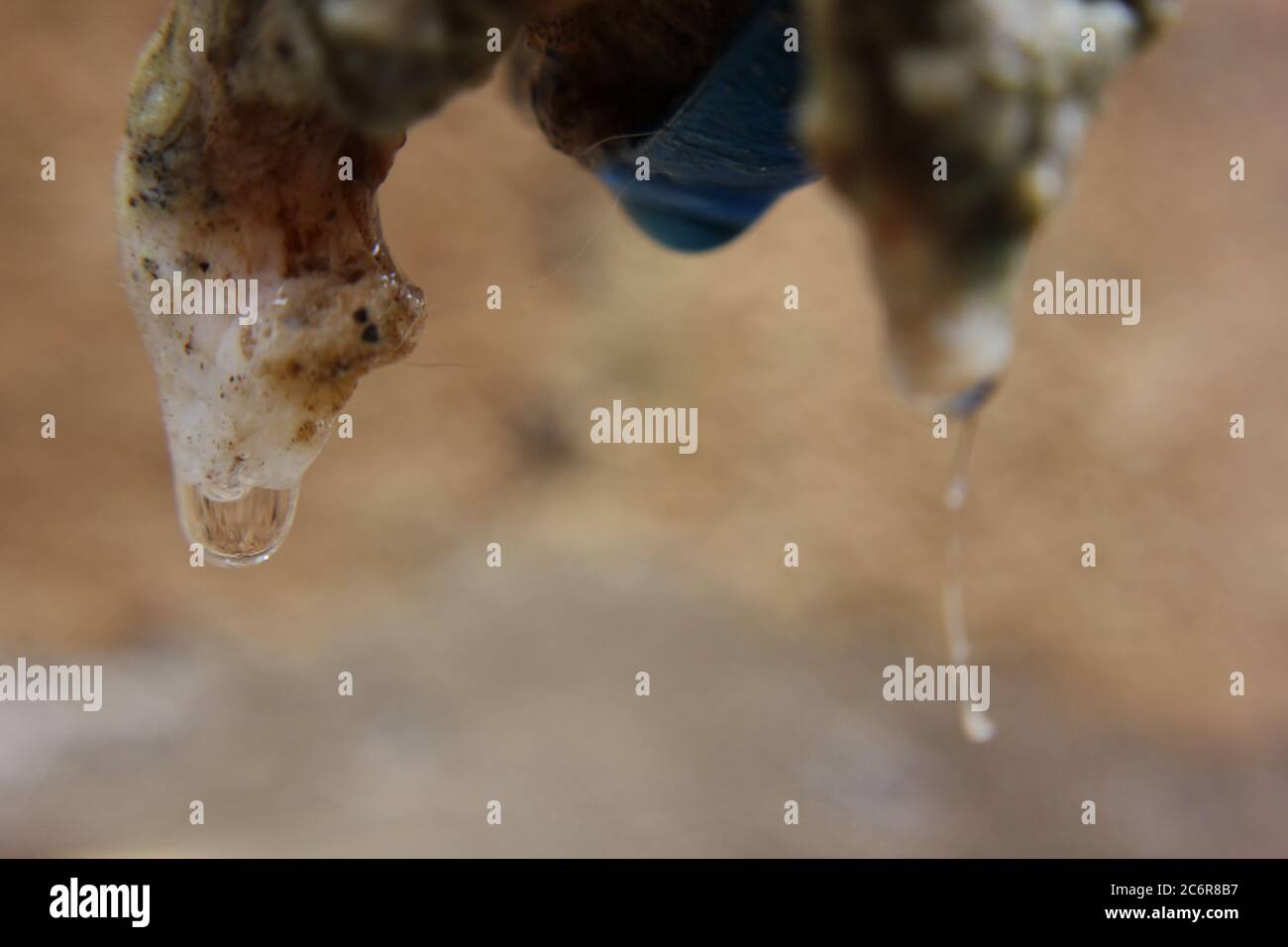 Very common watery backyard rocks and drippings Stock Photo - Alamy