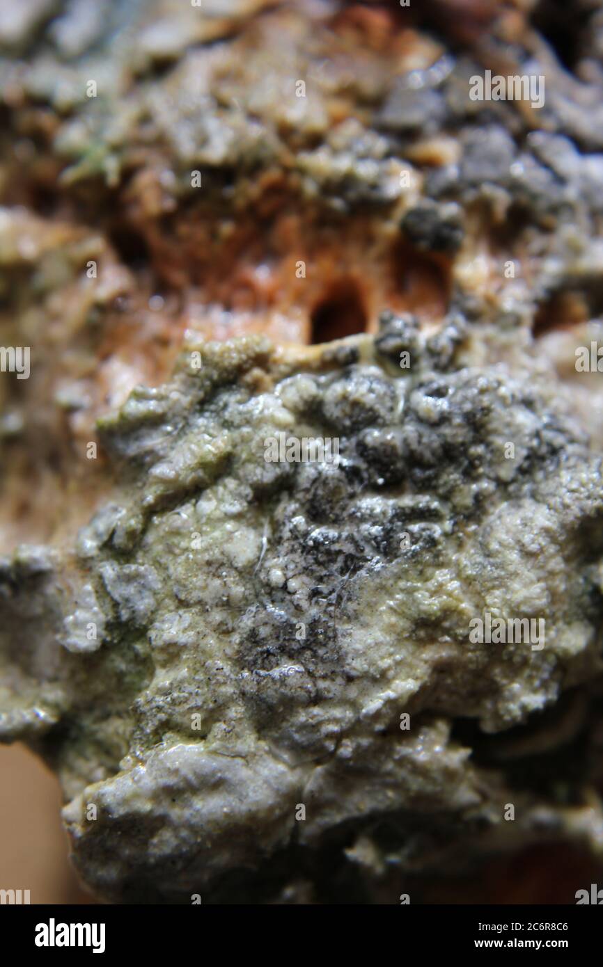 Very common watery backyard rocks and drippings Stock Photo - Alamy