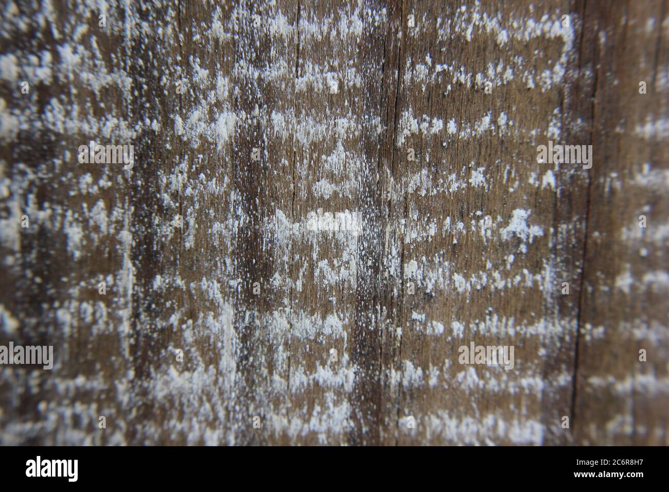 Wood plank etching hi-res stock photography and images - Alamy