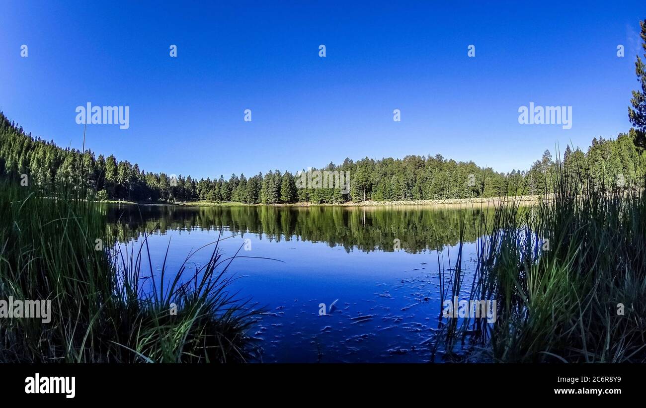 Riggs Flat Lake sits on the very top of Mt. Graham in southeastern ...
