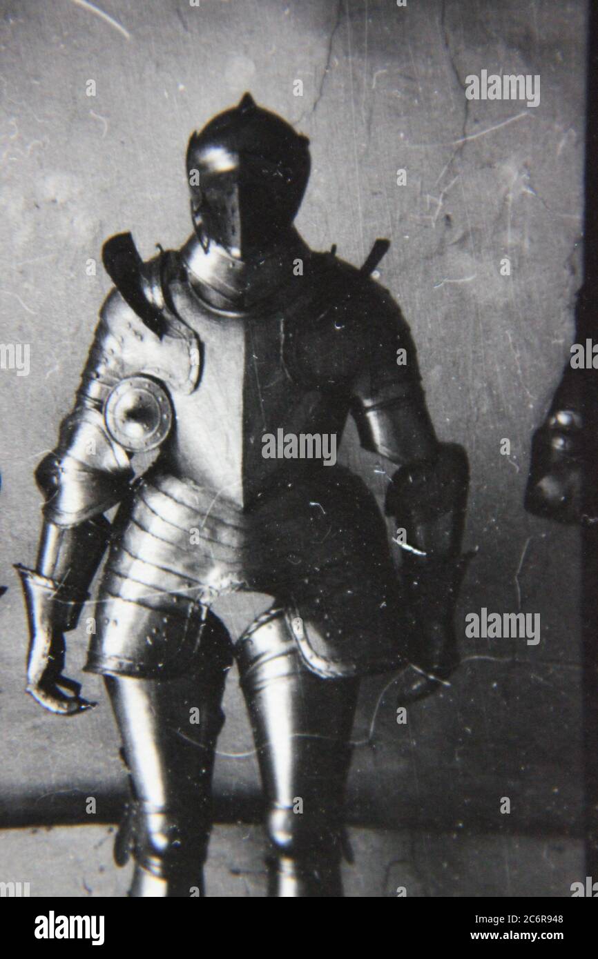 Handsome Knight In Shining Armor