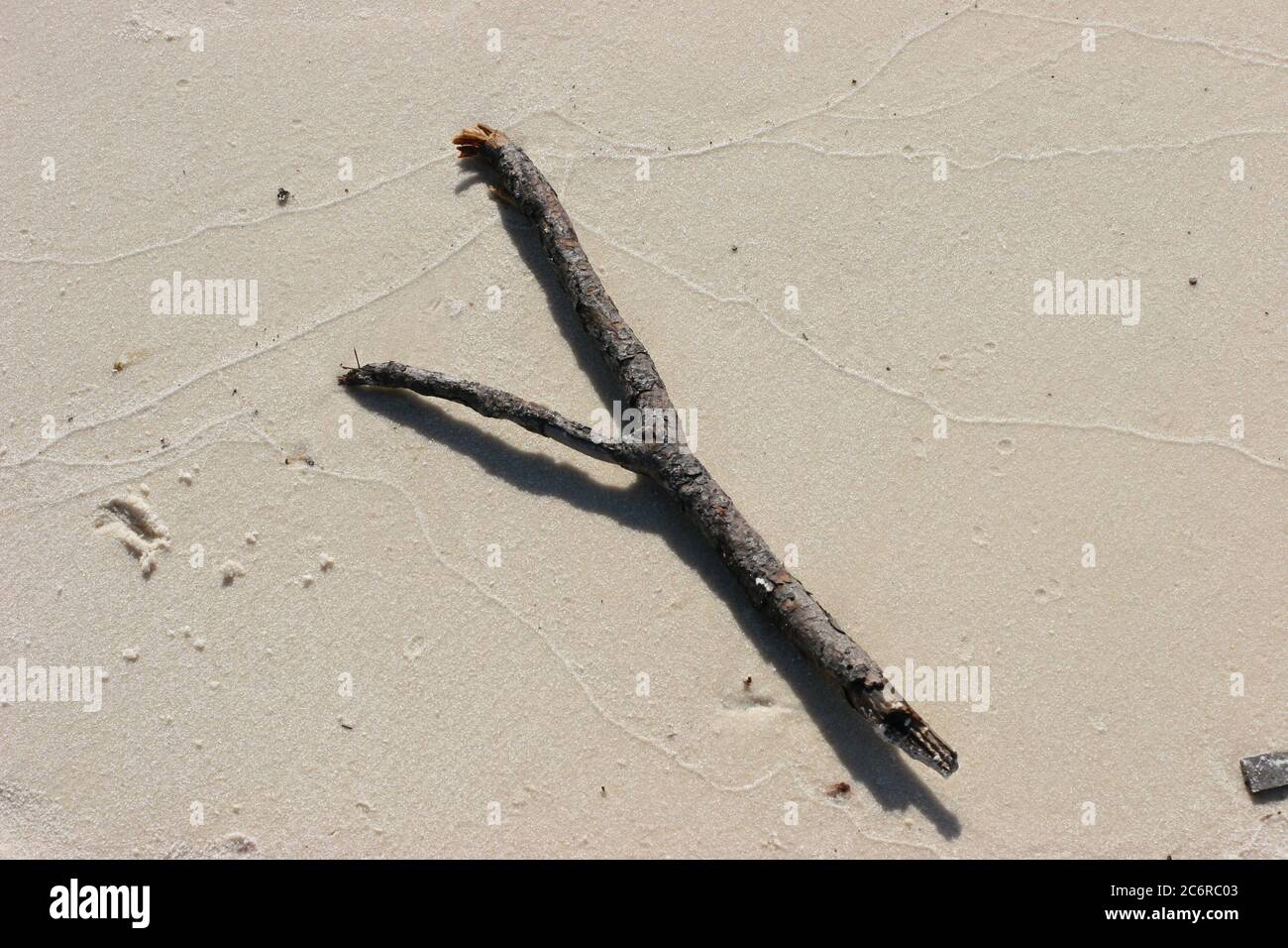 Wood stick laying on white sand at beach Stock Photo - Alamy