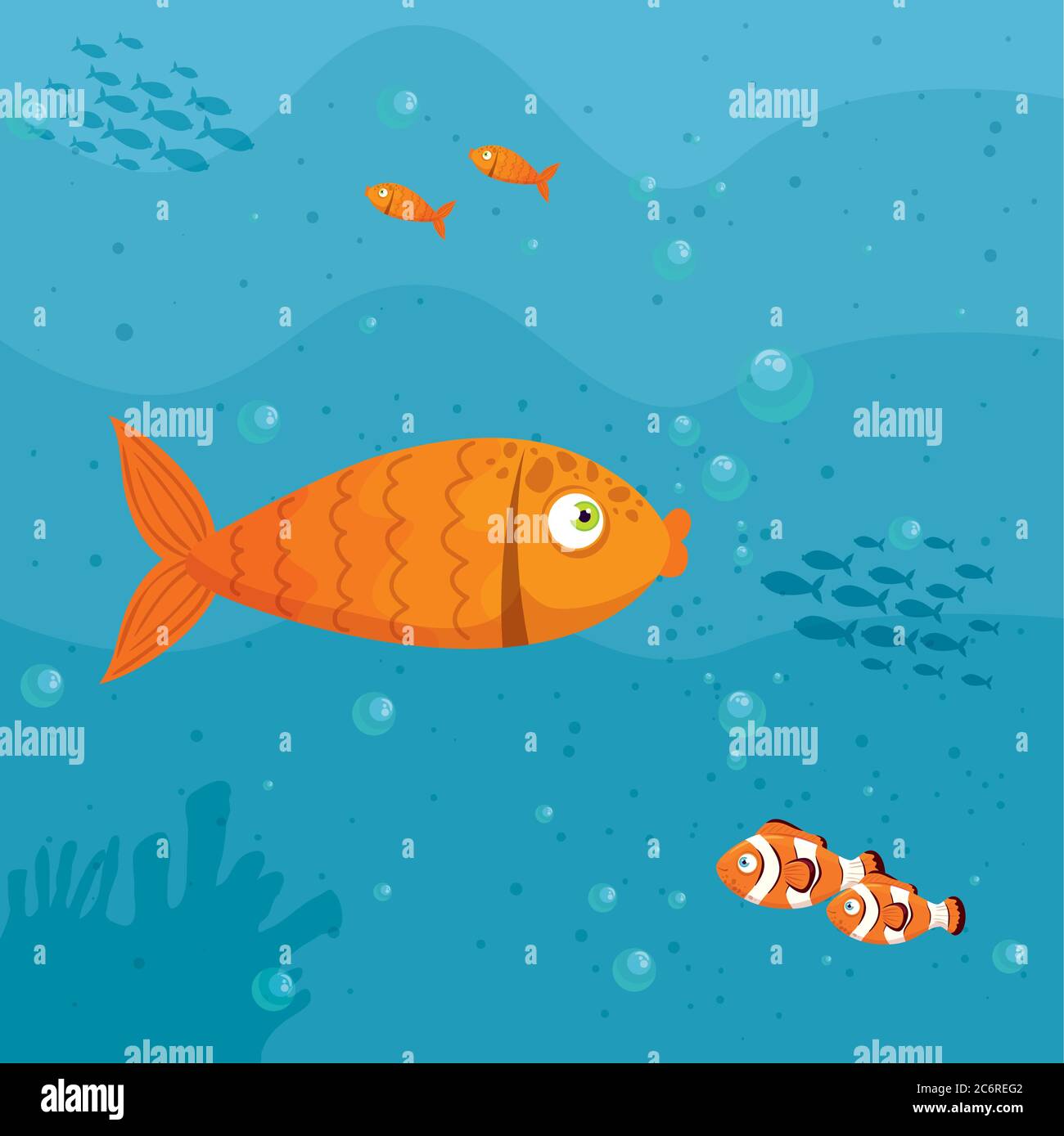 fishes marine animals in ocean, seaworld dwellers, cute underwater ...