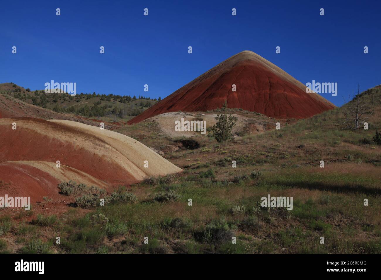 Royce conrad photographs hi-res stock photography and images - Alamy