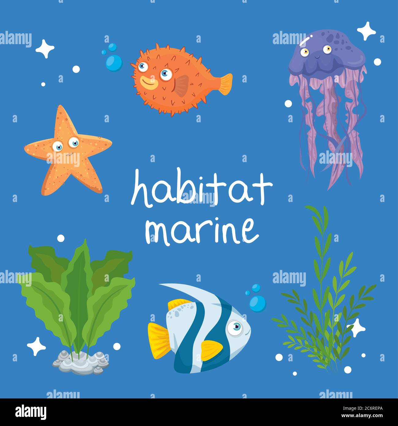 habitat marine, animals in ocean, seaworld dwellers, cute underwater ...