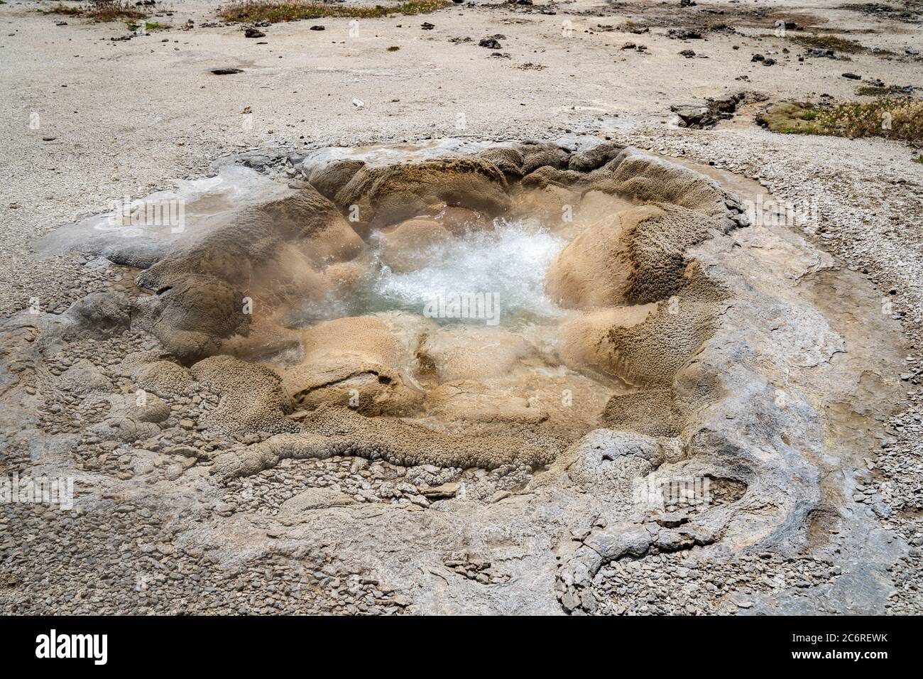 Shell Spring, a bubbling hot spring geyser in Biscuit Basin, a thermal ...