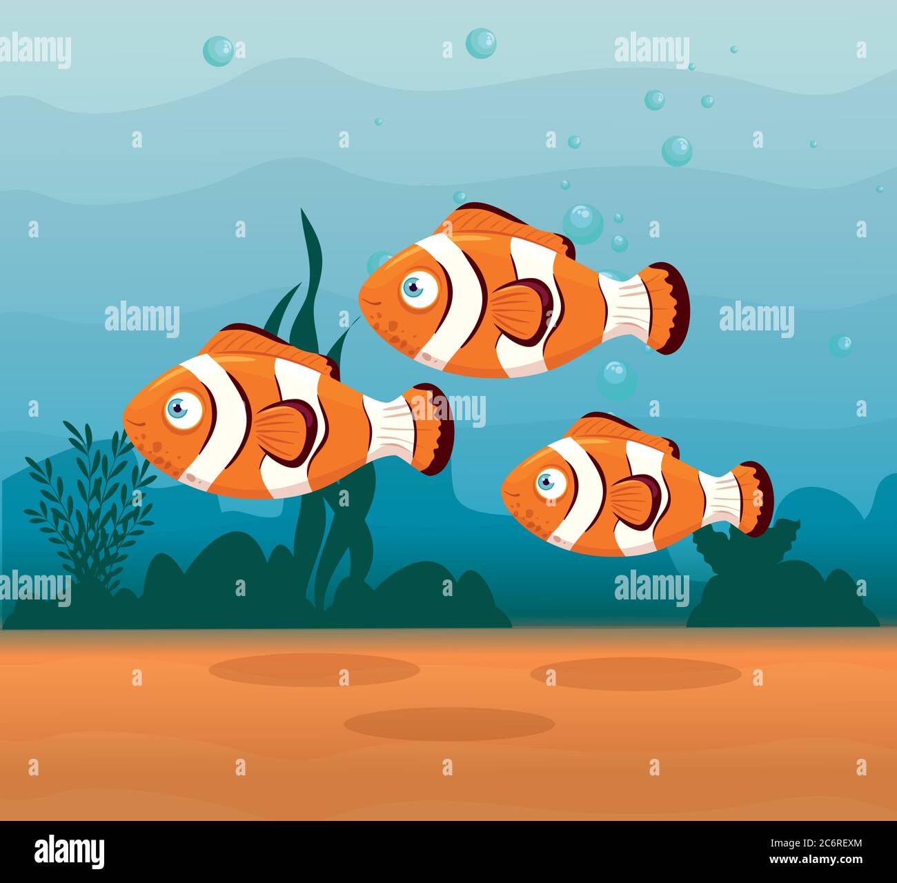clownfish animals in ocean, seaworld dwellers, cute underwater ...