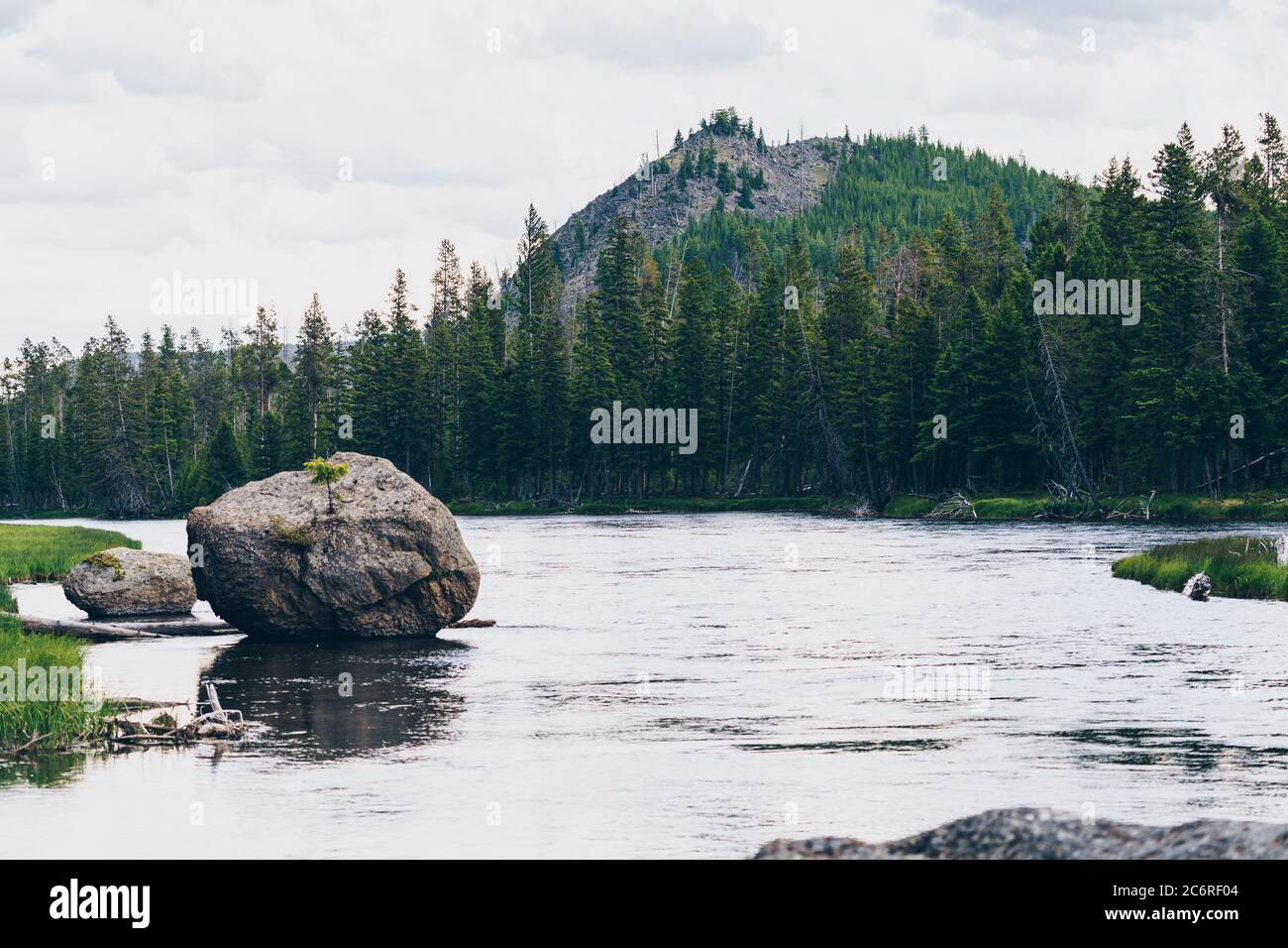 The Madison River, located at the West Yellowstone entrance to the ...