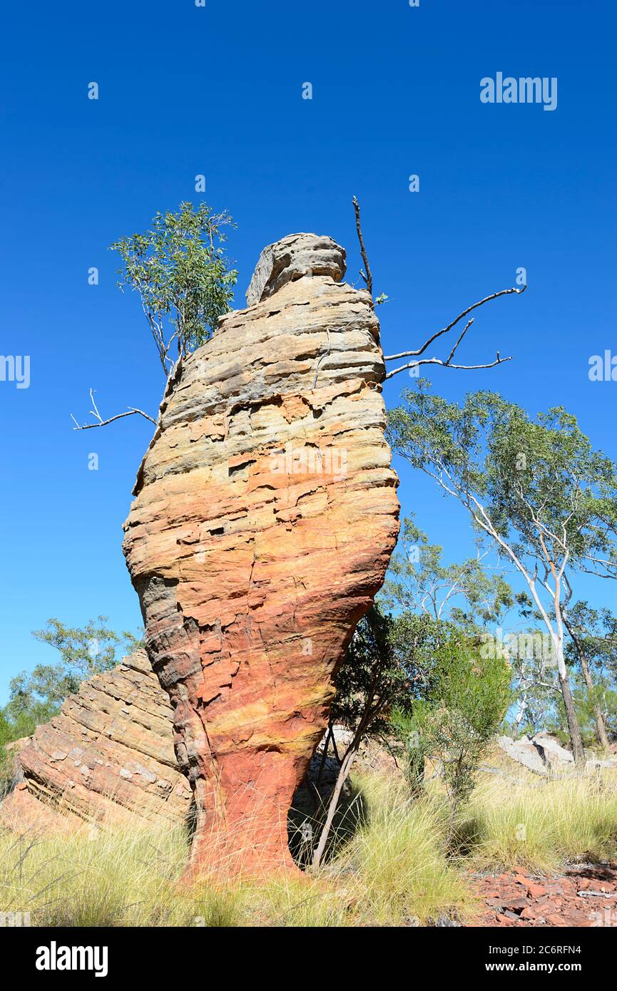 Limmen National Park High Resolution Stock Photography and Images - Alamy