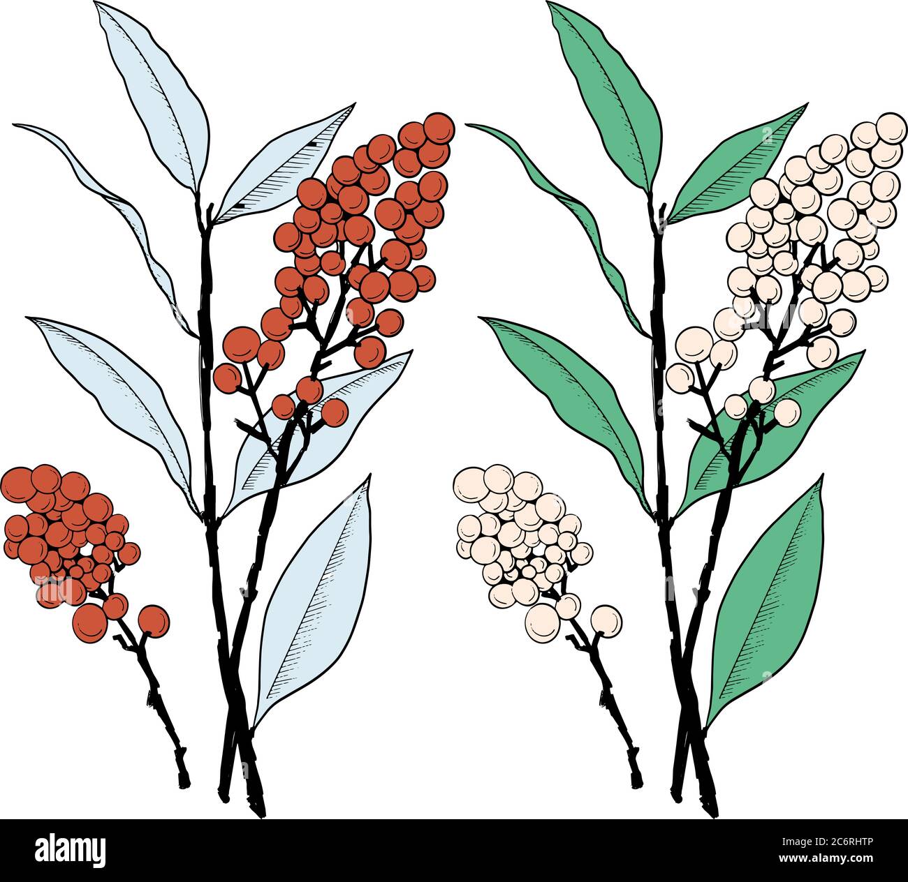 Hand drawn leaves line Cut Out Stock Images & Pictures - Alamy