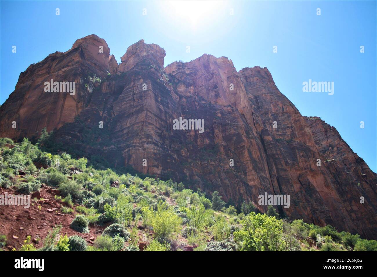 Zion mesa with tree hi-res stock photography and images - Alamy