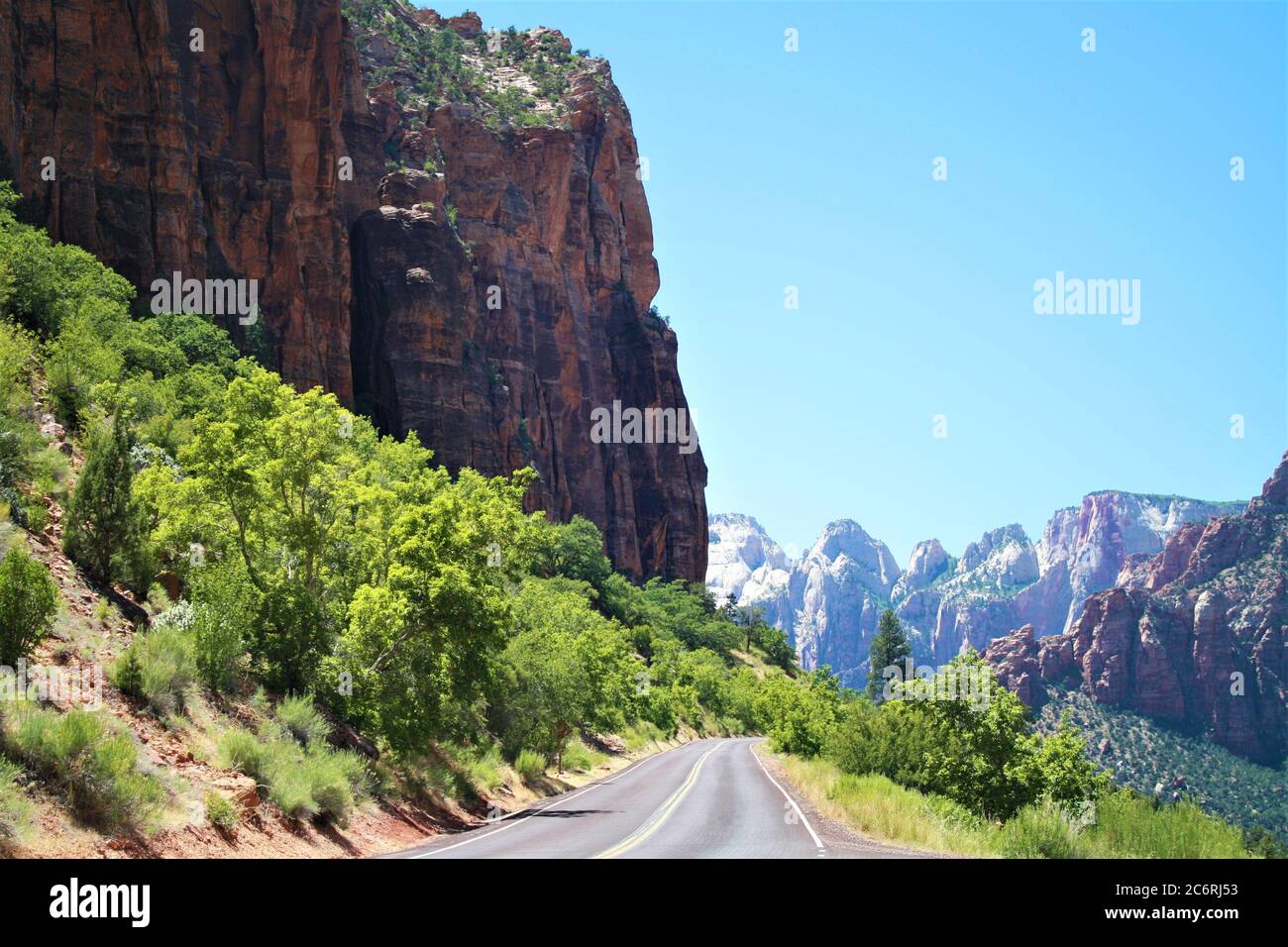 Road with Navajo White Sandstone Mesas in the Distance, Zion National ...
