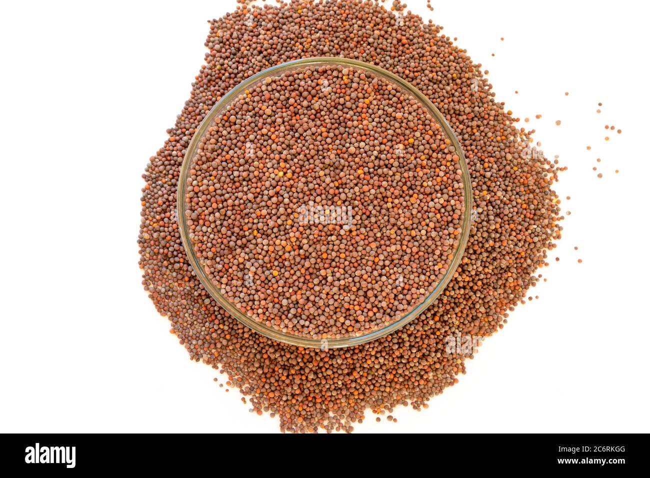 Rai seed (Whole Rai), mustard seed in bowl isolated on white Stock ...