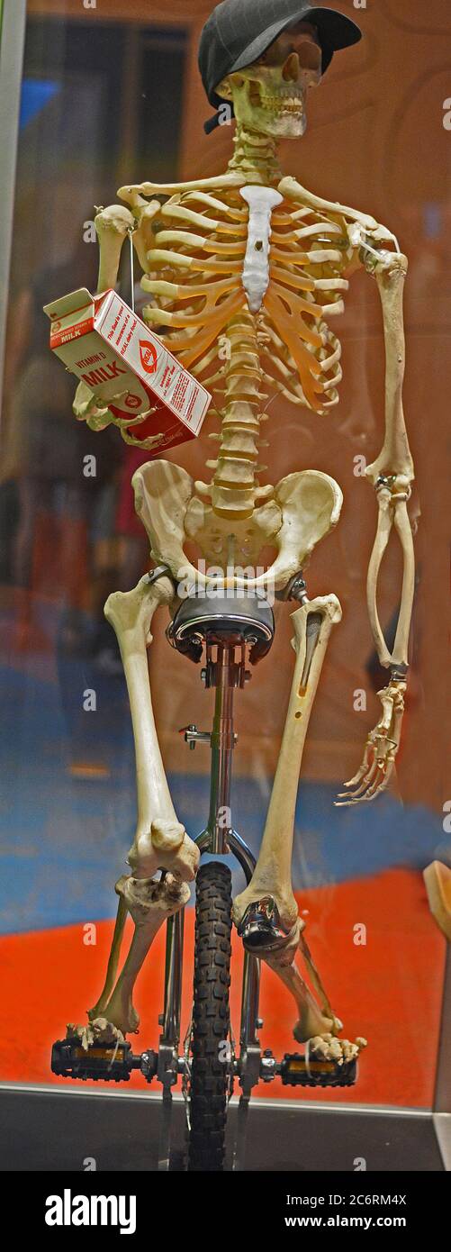 Science experiment at a Science Museum. Human skeleton movement Stock ...