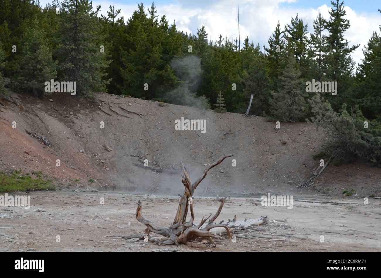 Steam rises from cauldron hi-res stock photography and images - Alamy