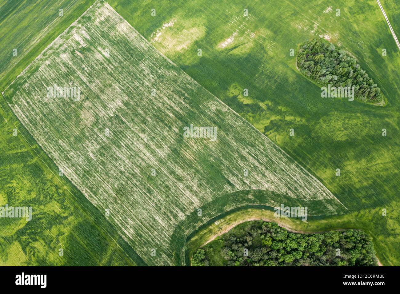 Agriculture summer countryside hi-res stock photography and images - Alamy