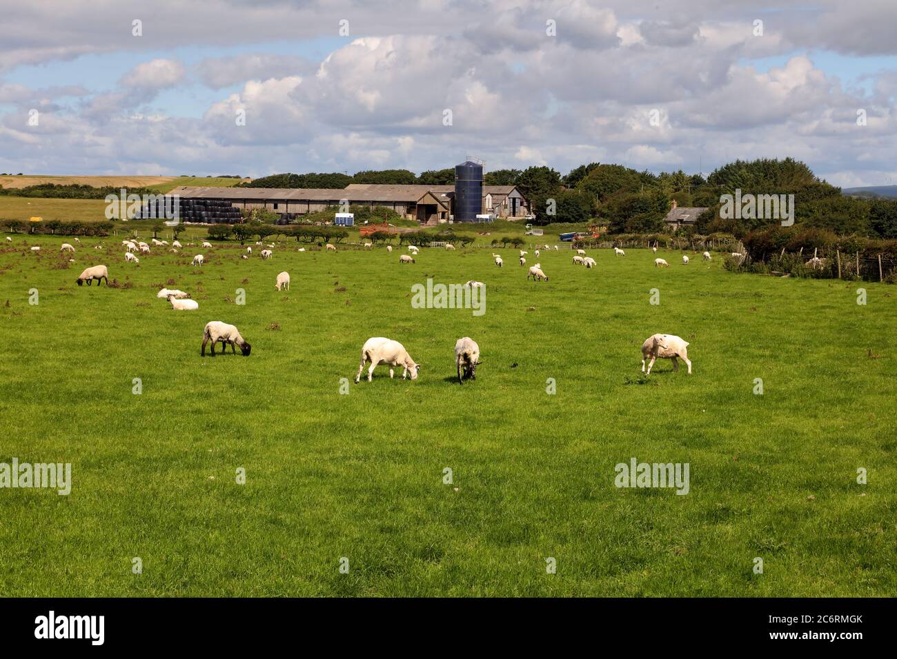 Bridgend farm hi-res stock photography and images - Alamy
