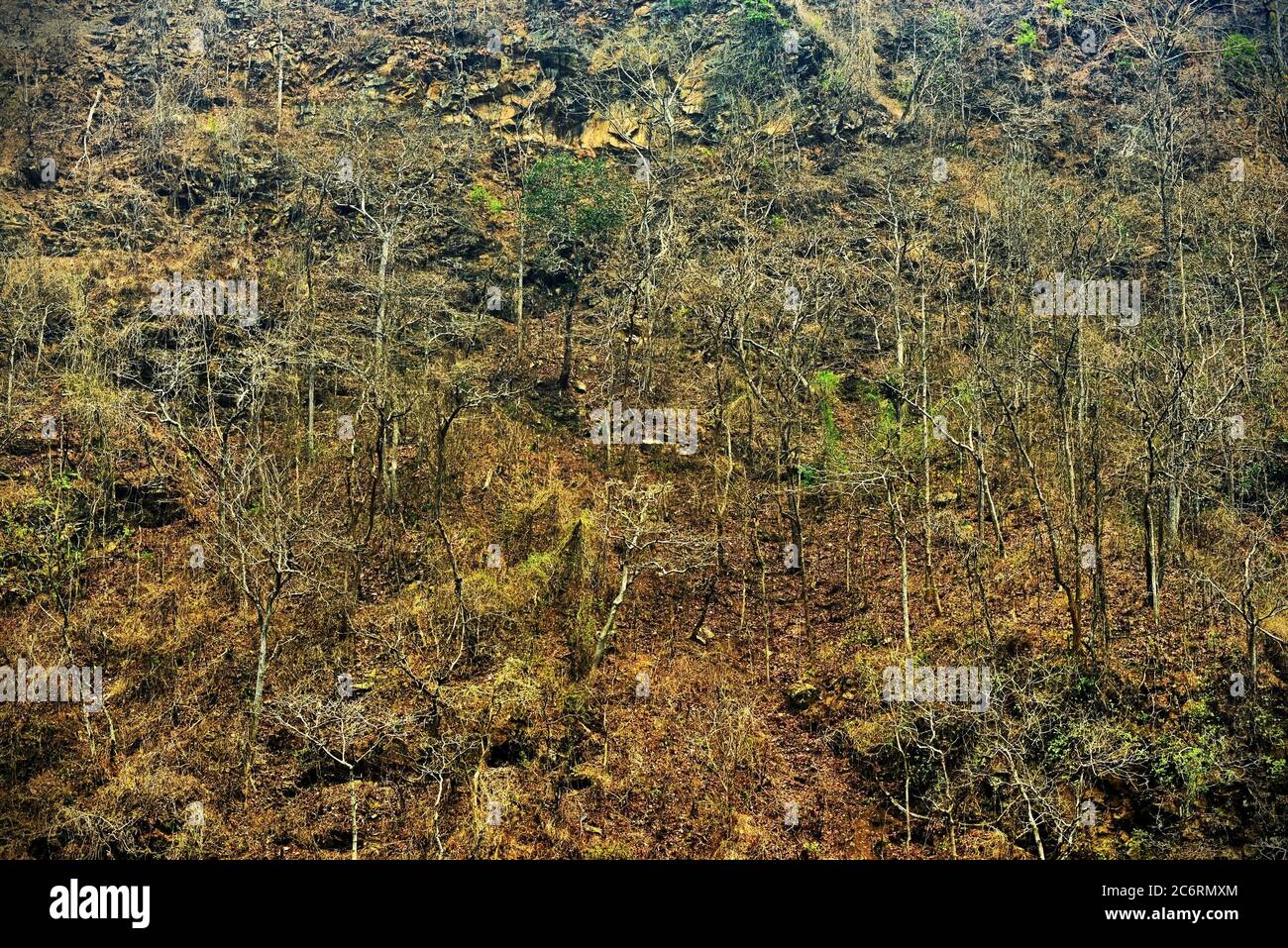 Hill slope hi-res stock photography and images - Alamy