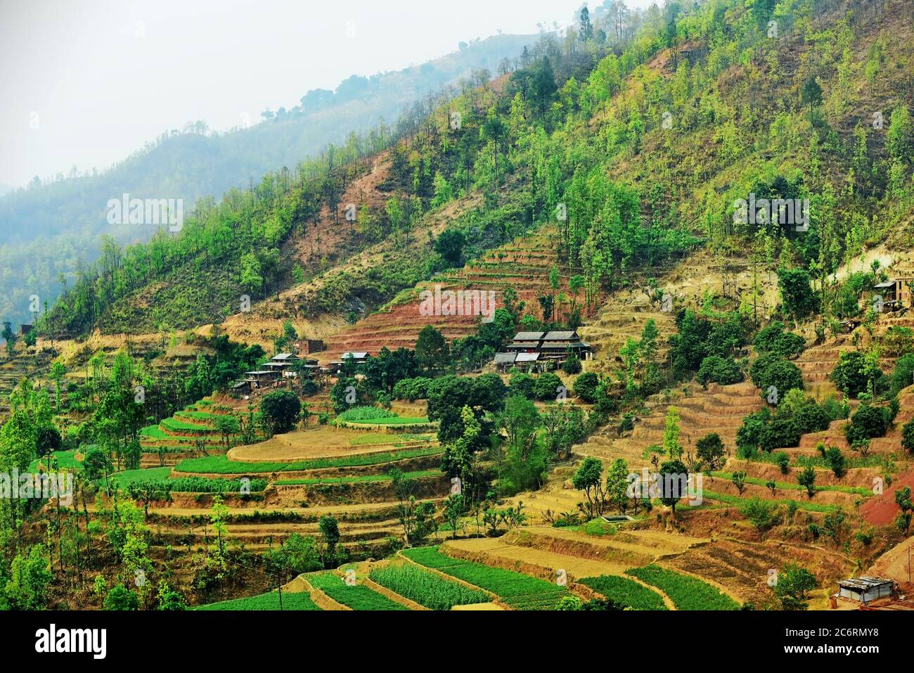 Agricultural farming fields at a rural area in Nepal, seen from a road ...