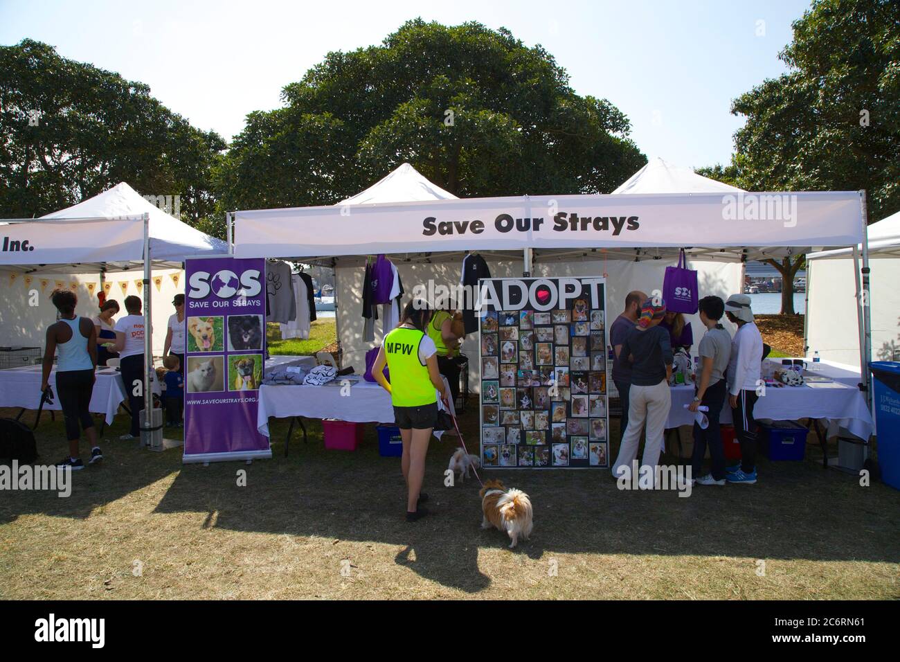 Save our strays hi-res stock photography and images - Alamy