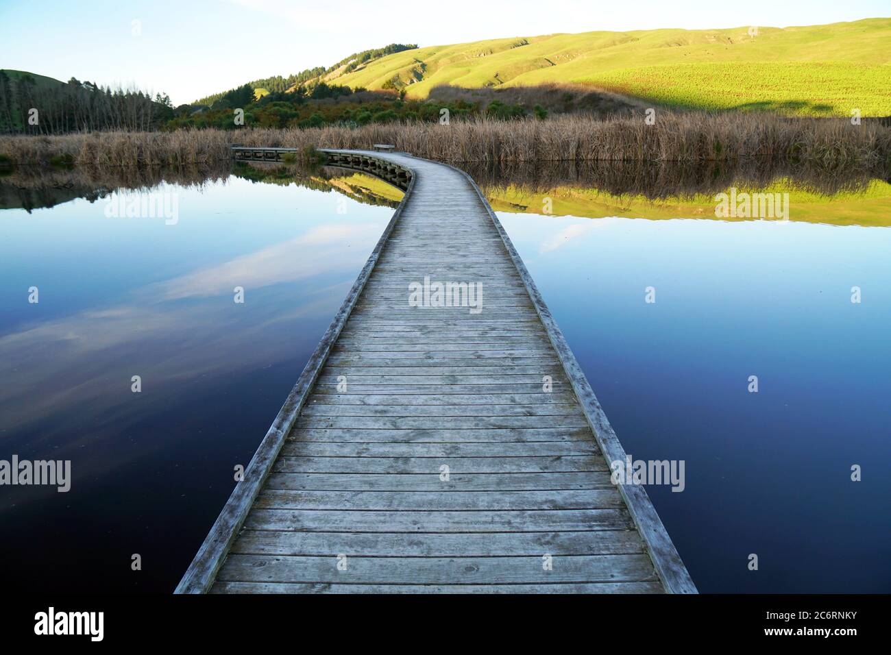 Pekapeka Wetlands, Hawke's Bay, NZ Stock Photo - Alamy