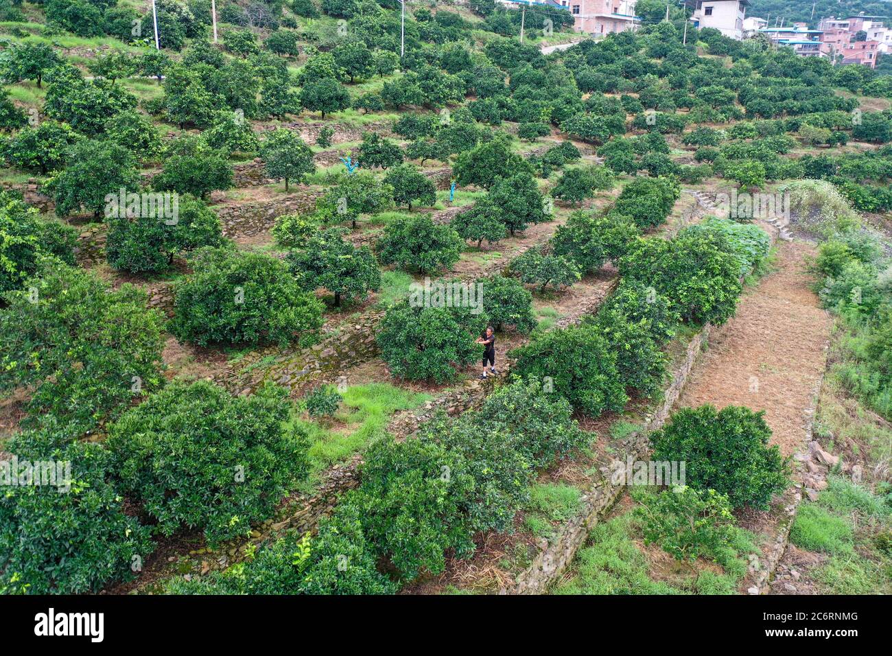 Fengjie county hi-res stock photography and images - Alamy