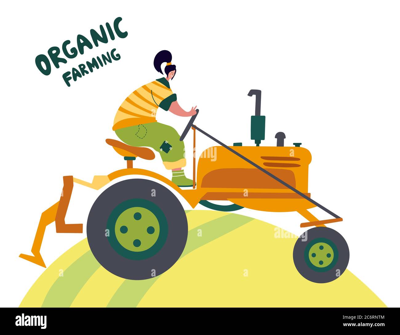 Organic farming. Agricultural workers planting and gathering crops ...