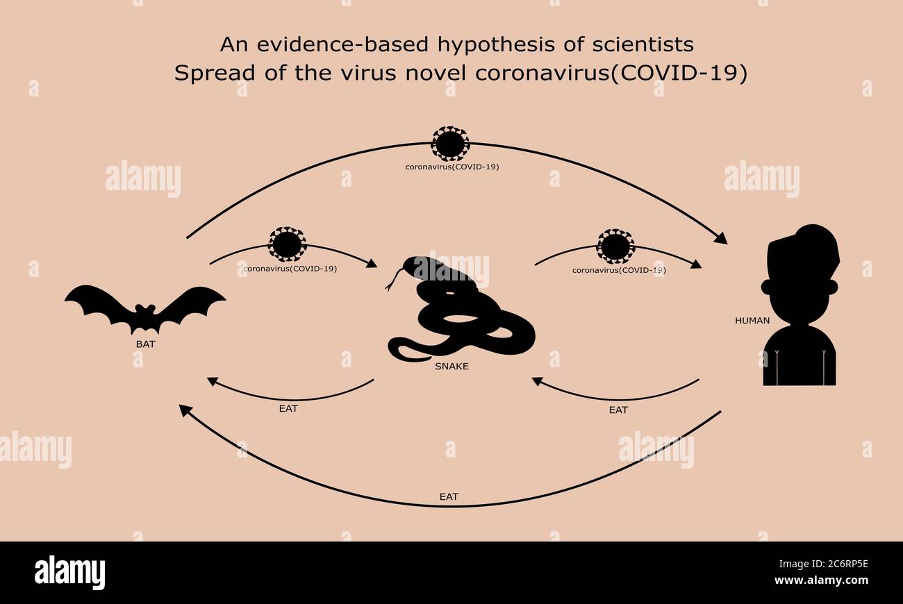 Shadow,an evidence-based hypothesis of scientists spread of the virus ...