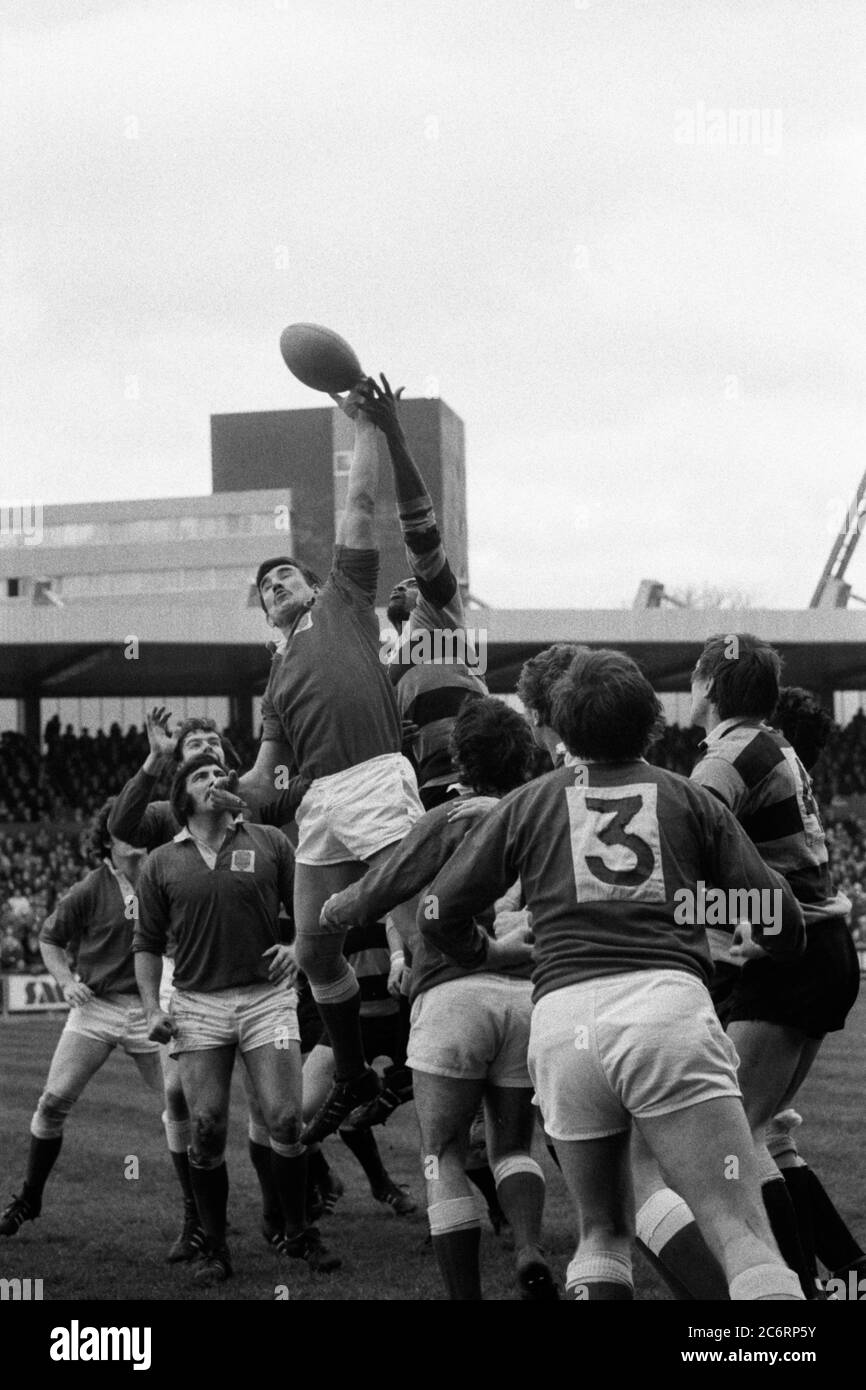 Beating wales Black and White Stock Photos & Images - Alamy