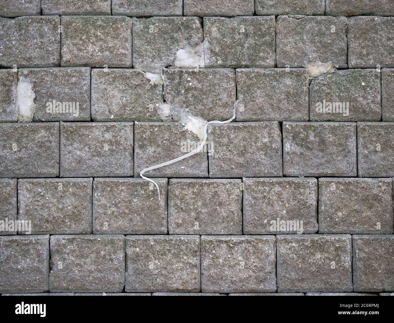 Snake carcass molting on concrete blocks wall background Stock Photo ...