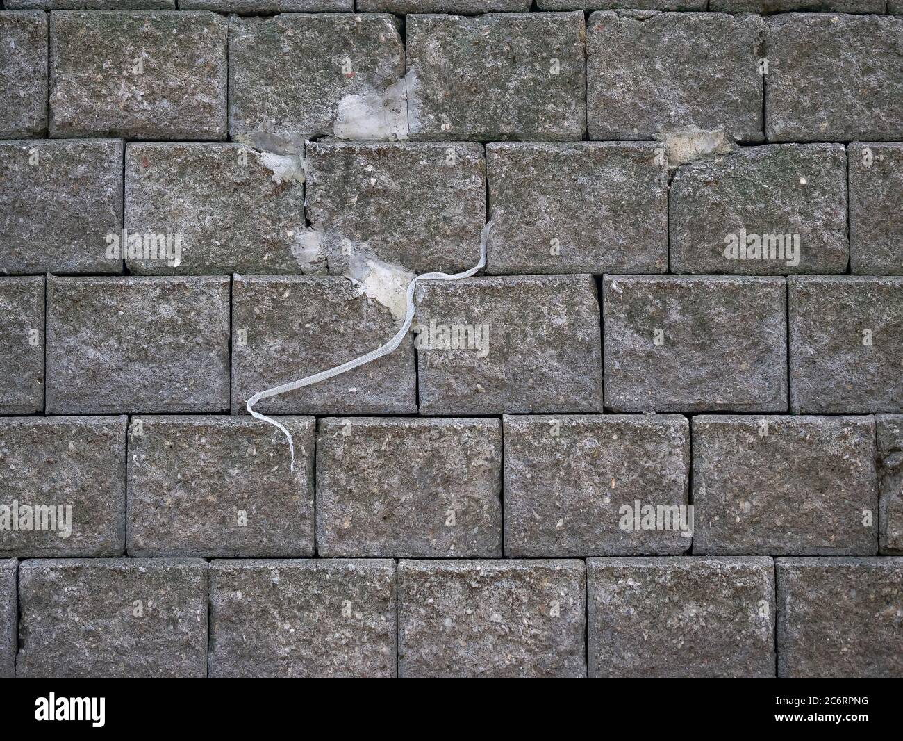 Snake carcass molting on concrete blocks wall background Stock Photo ...