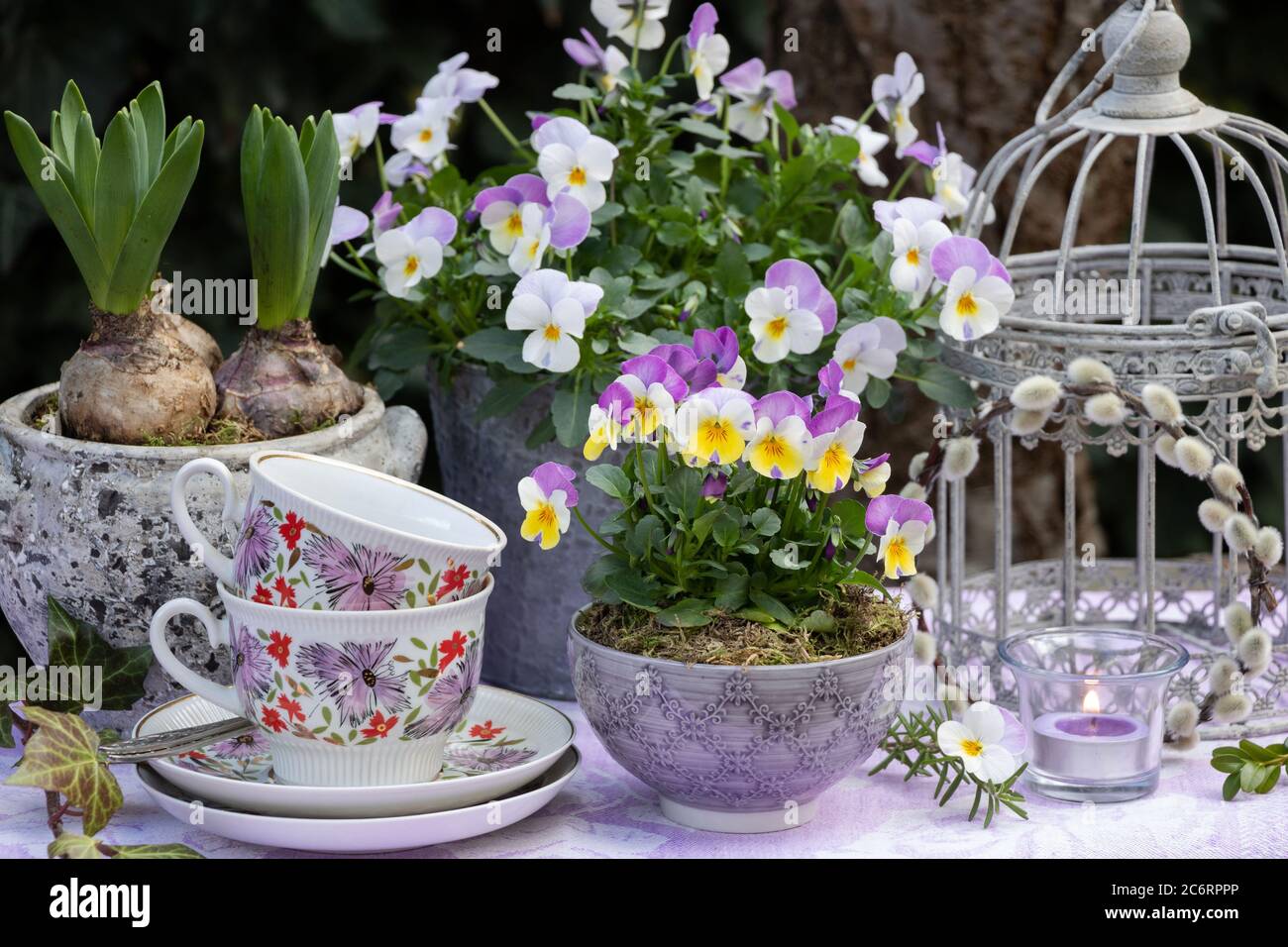 vintage garden decoration with spring flowers in white and purple and ...