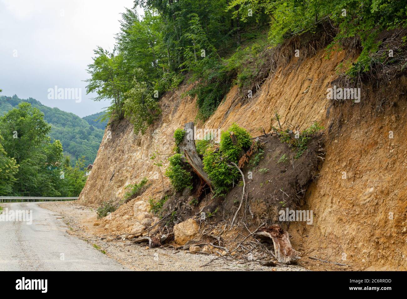 Landslide on the forest road Stock Photo - Alamy