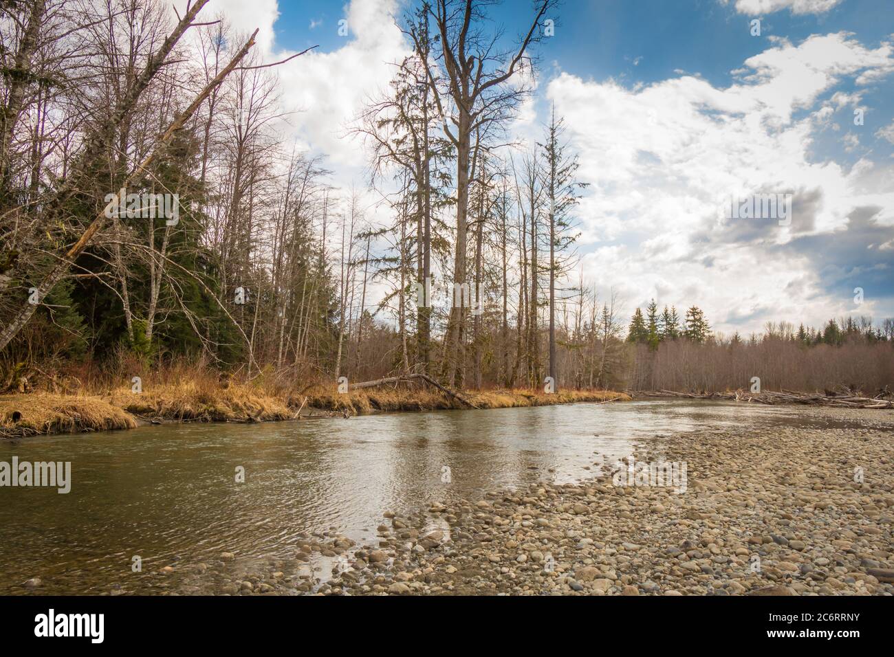 Beautiful small stream in British Columbia, Canada, in the Spring Stock ...