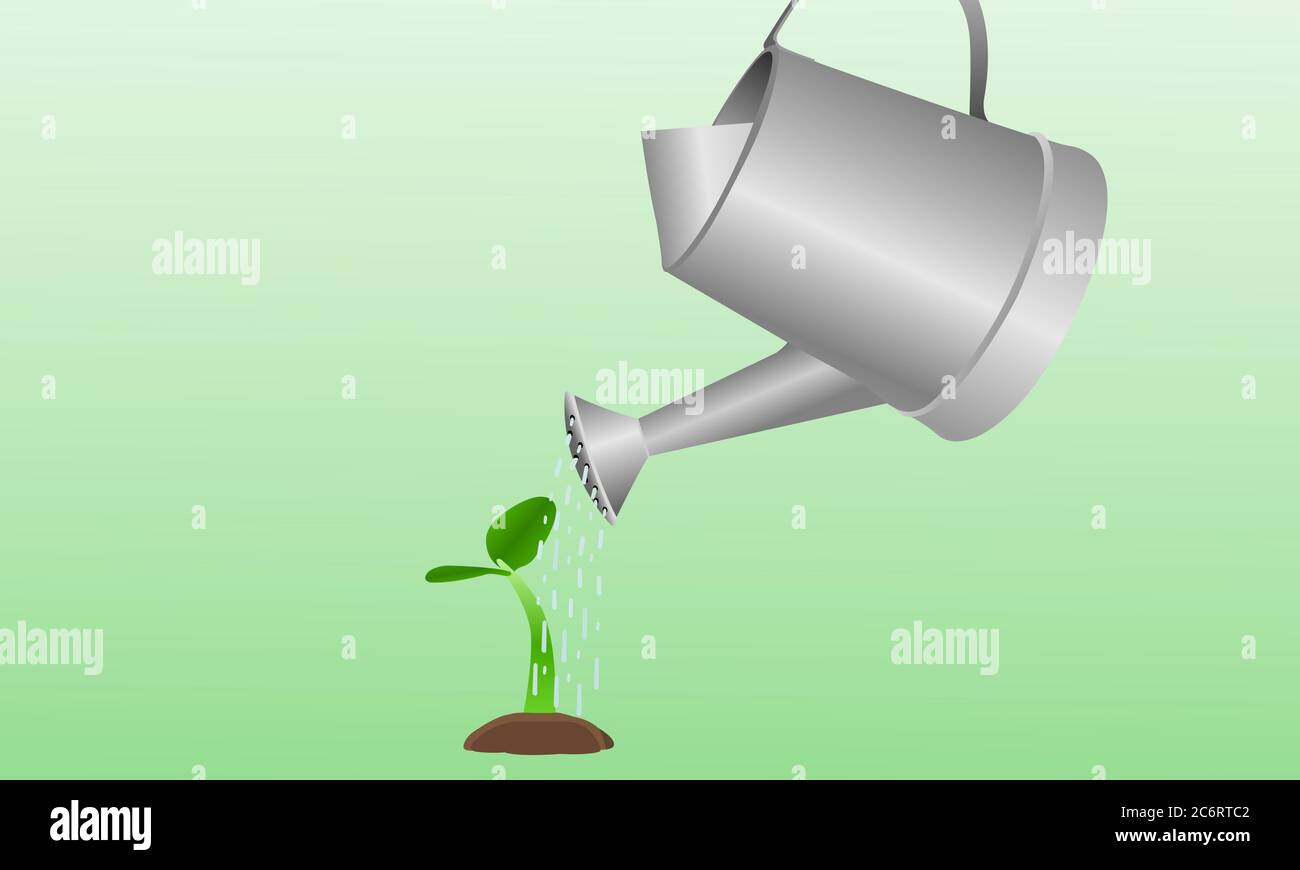 Growth of a tree from young plant. Watering the plants Stock Photo - Alamy