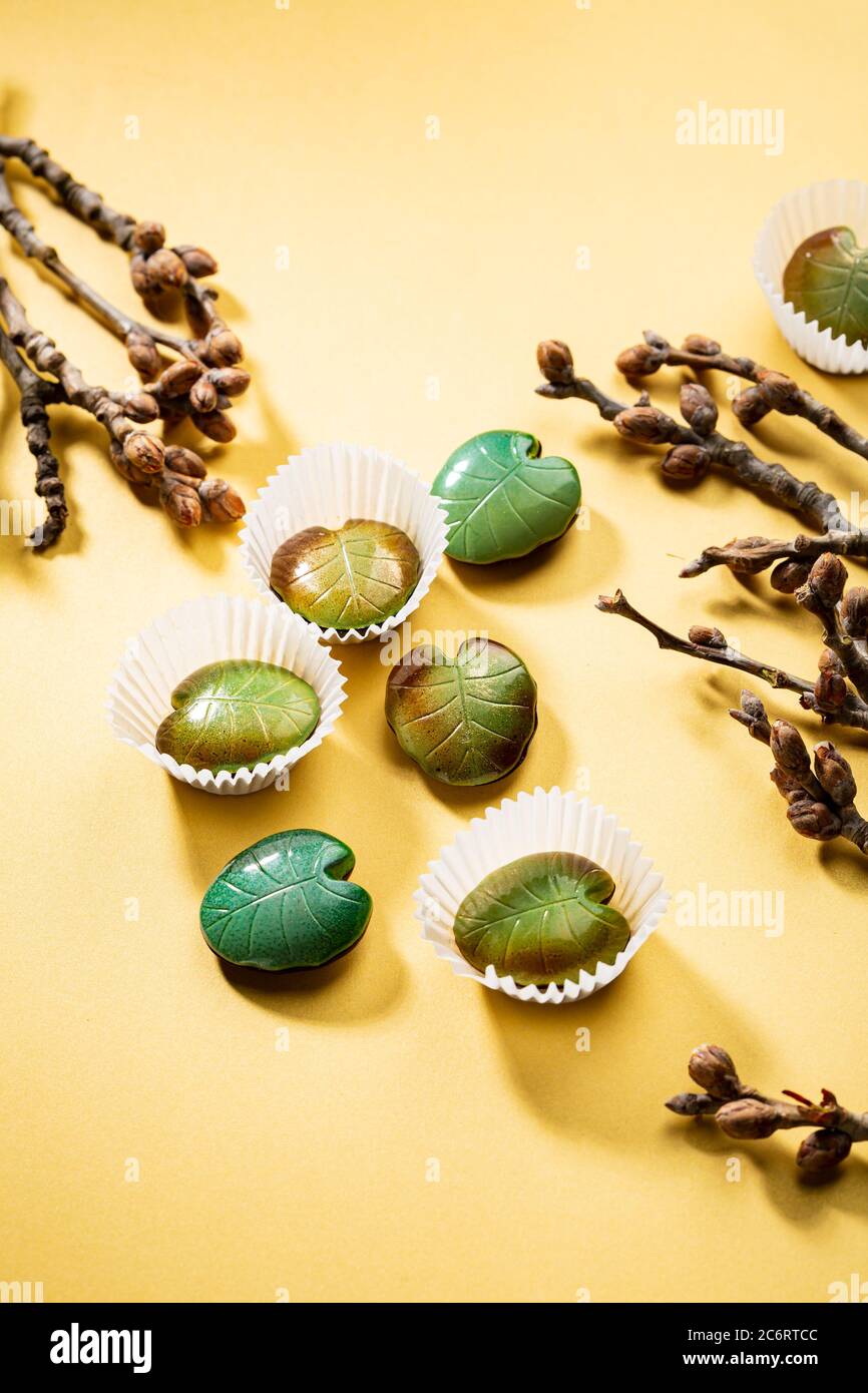 Green chocolate candies on yellow surface and spring twigs Stock Photo ...