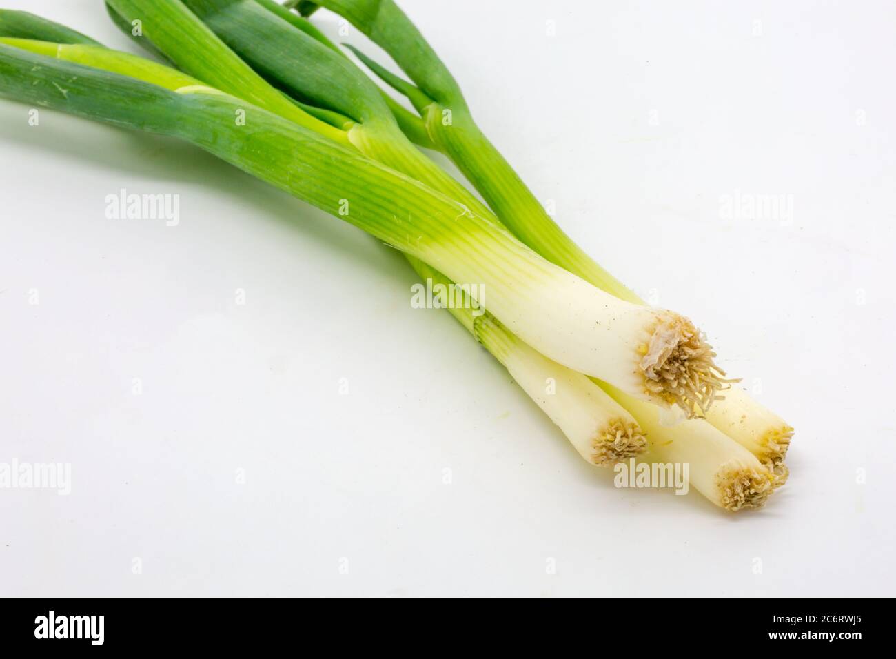 A studio isolated photograph of spring onions/scallions against a white ...