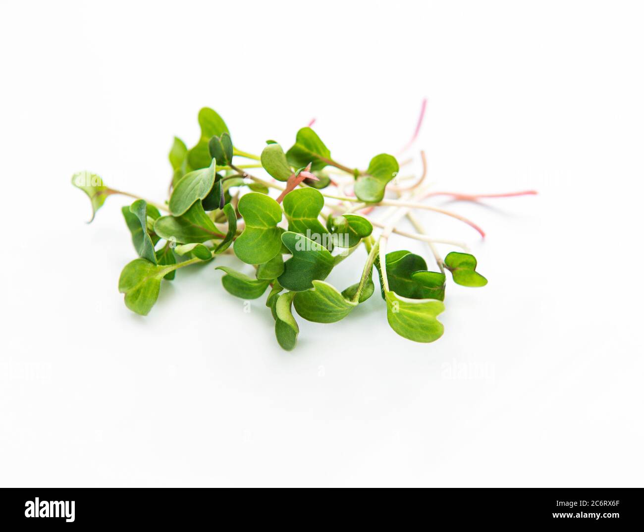 Heap of radish micro greens on white background. Healthy eating concept ...