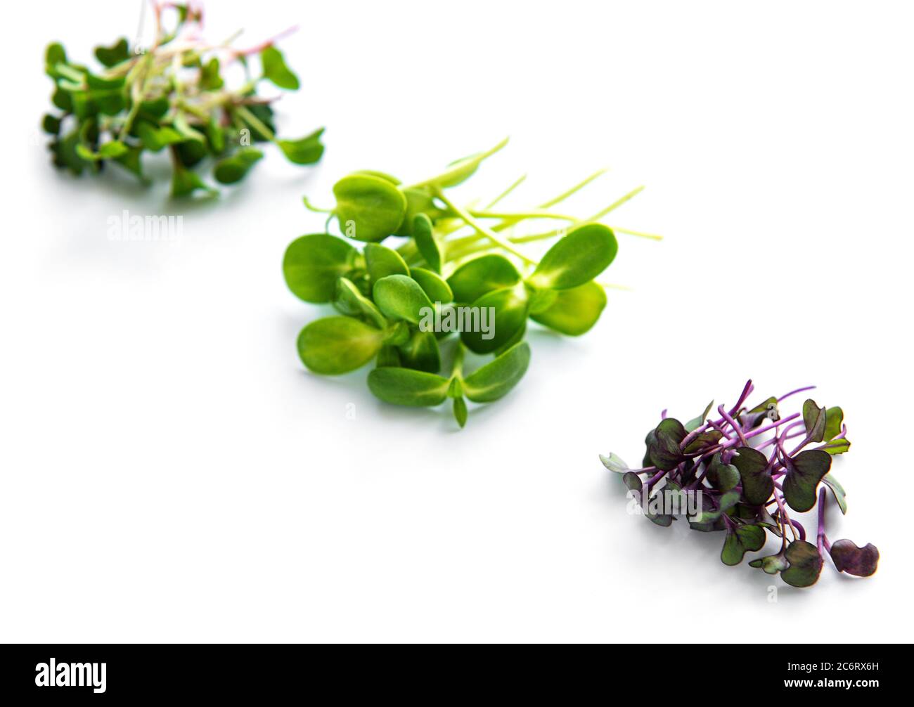 Set of fresh and healthy microgreens from different vegetables on white ...