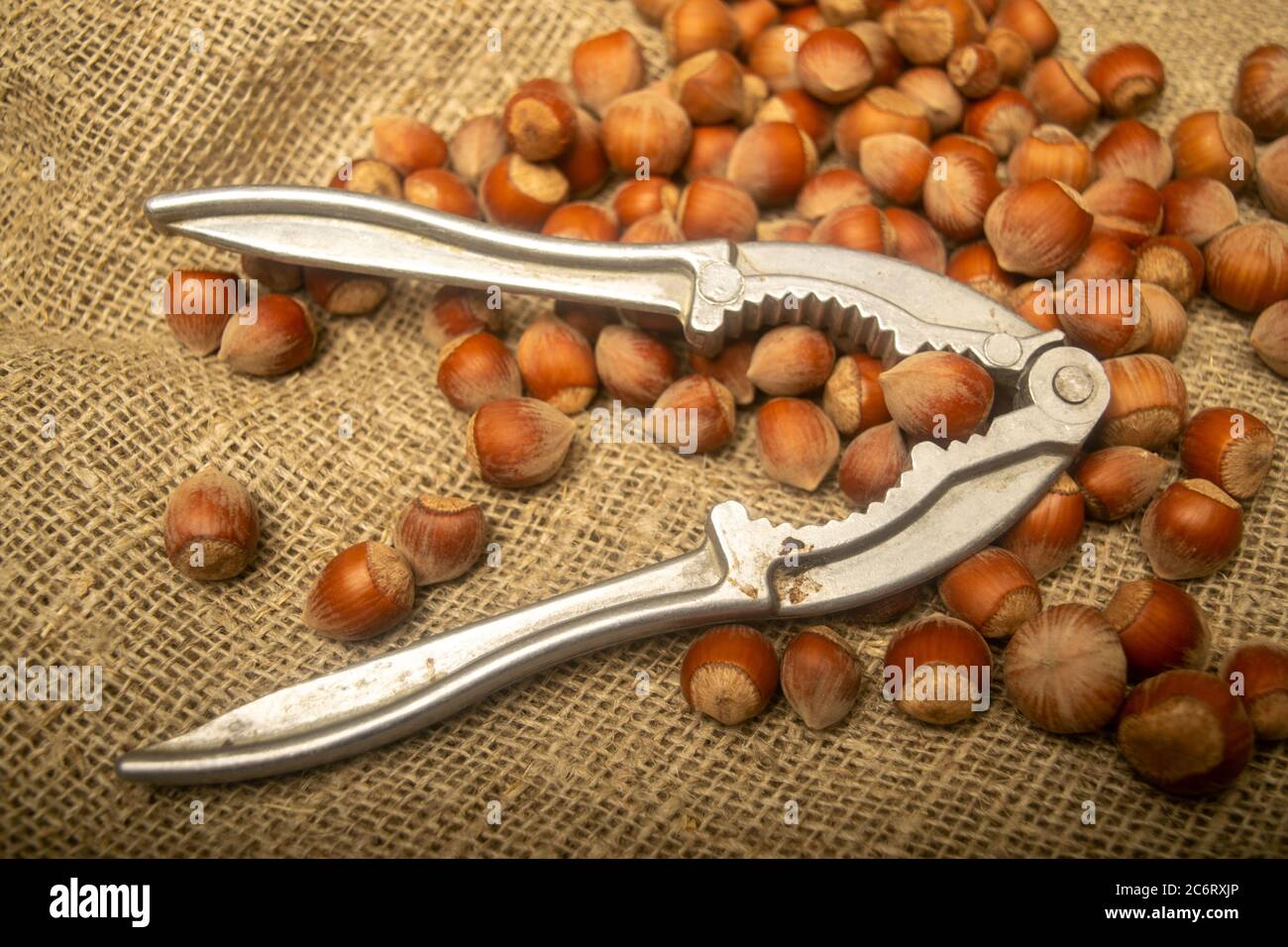 Hazelnuts in a wicker basket, a scattering of hazelnuts and a ...