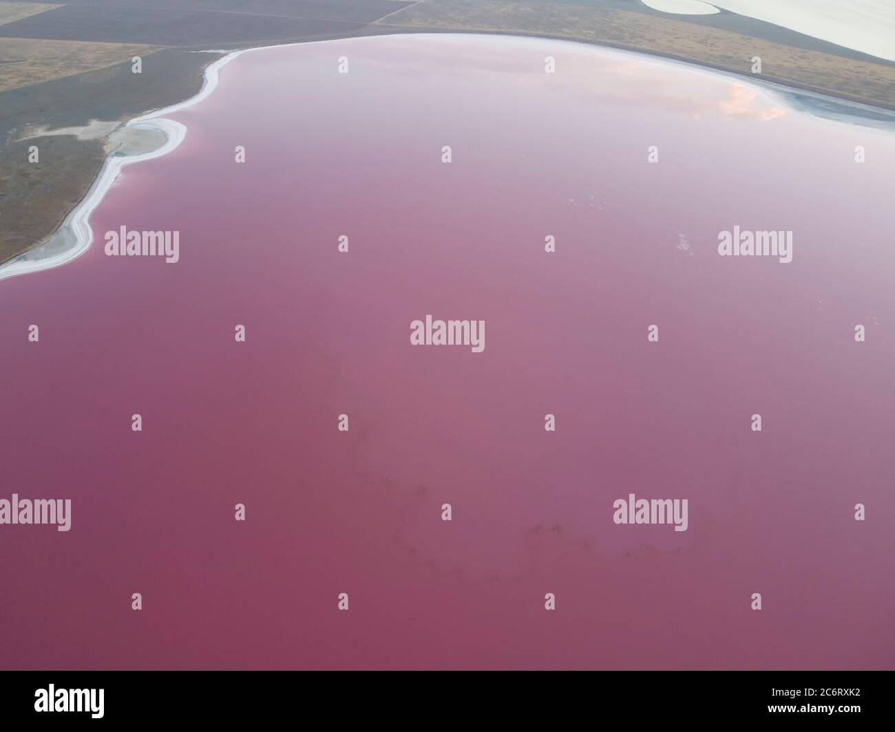 Pink lake, a salt lake with a pink color due to the development of ...