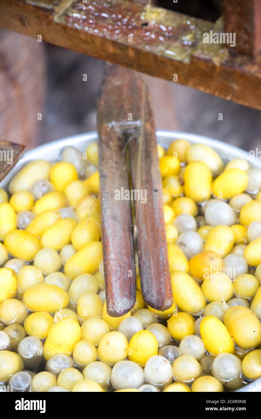 Closed up of vintage method for silk reeling and yellow and white ...