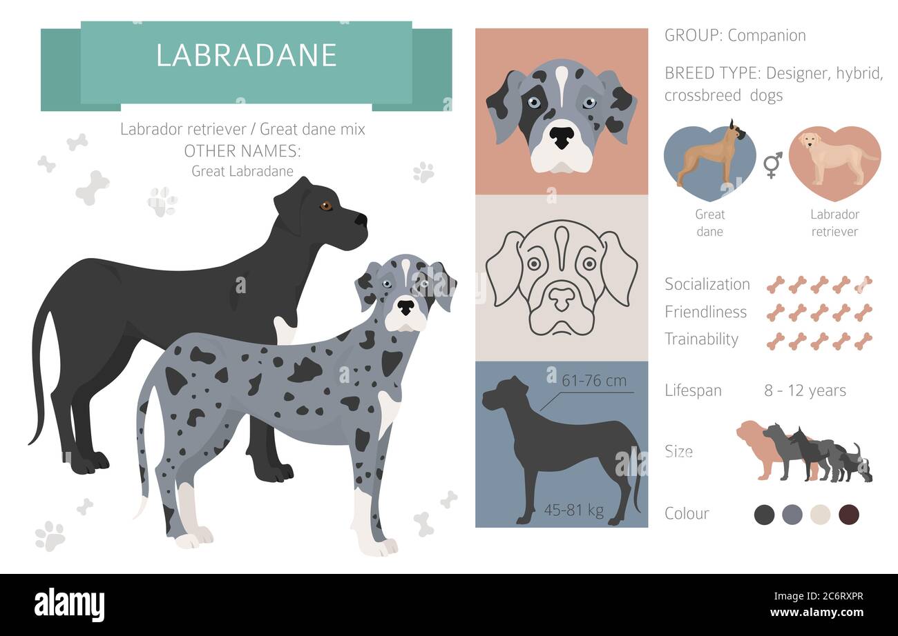 Labradane