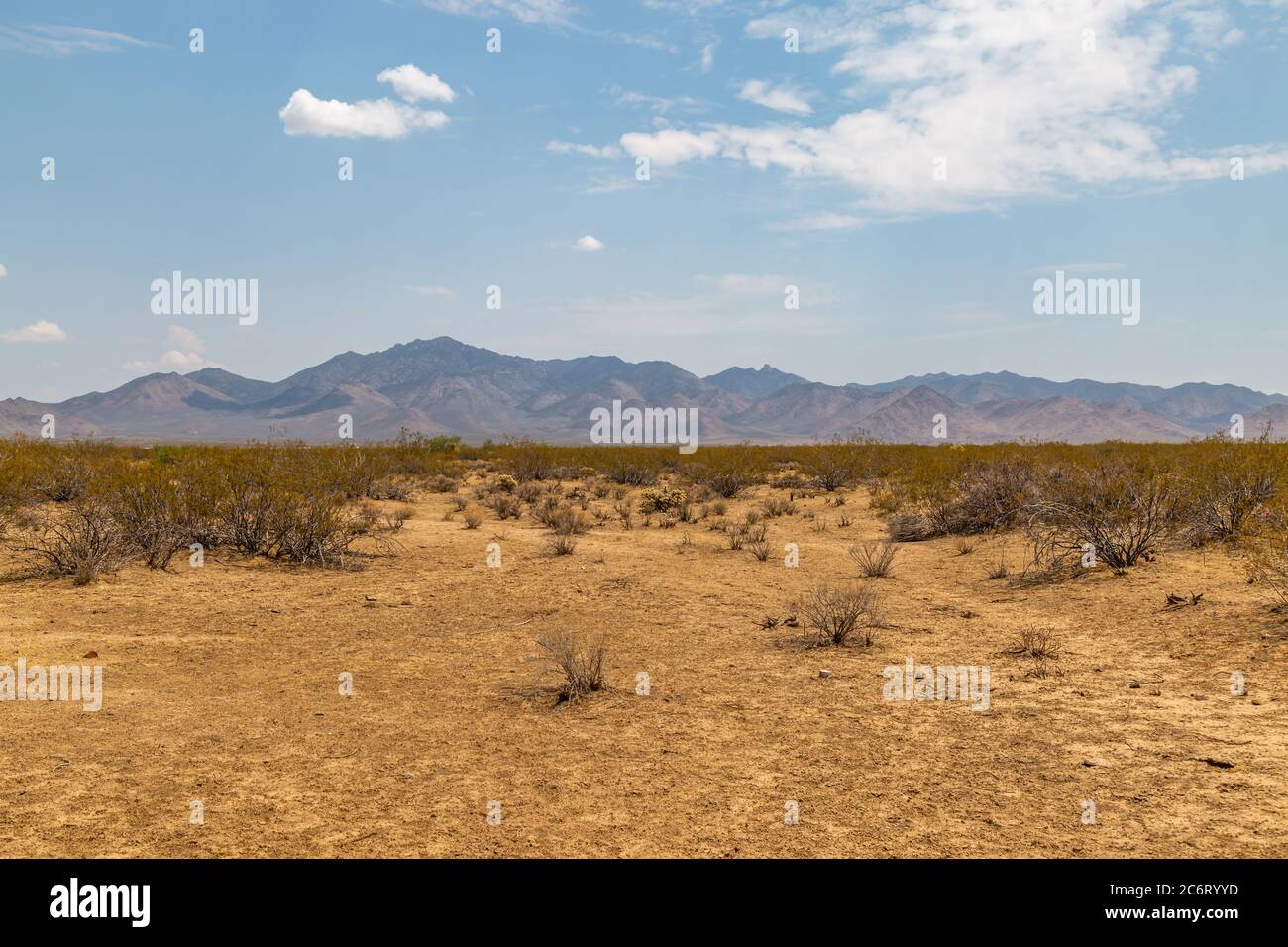 Arid shrubland hi-res stock photography and images - Alamy