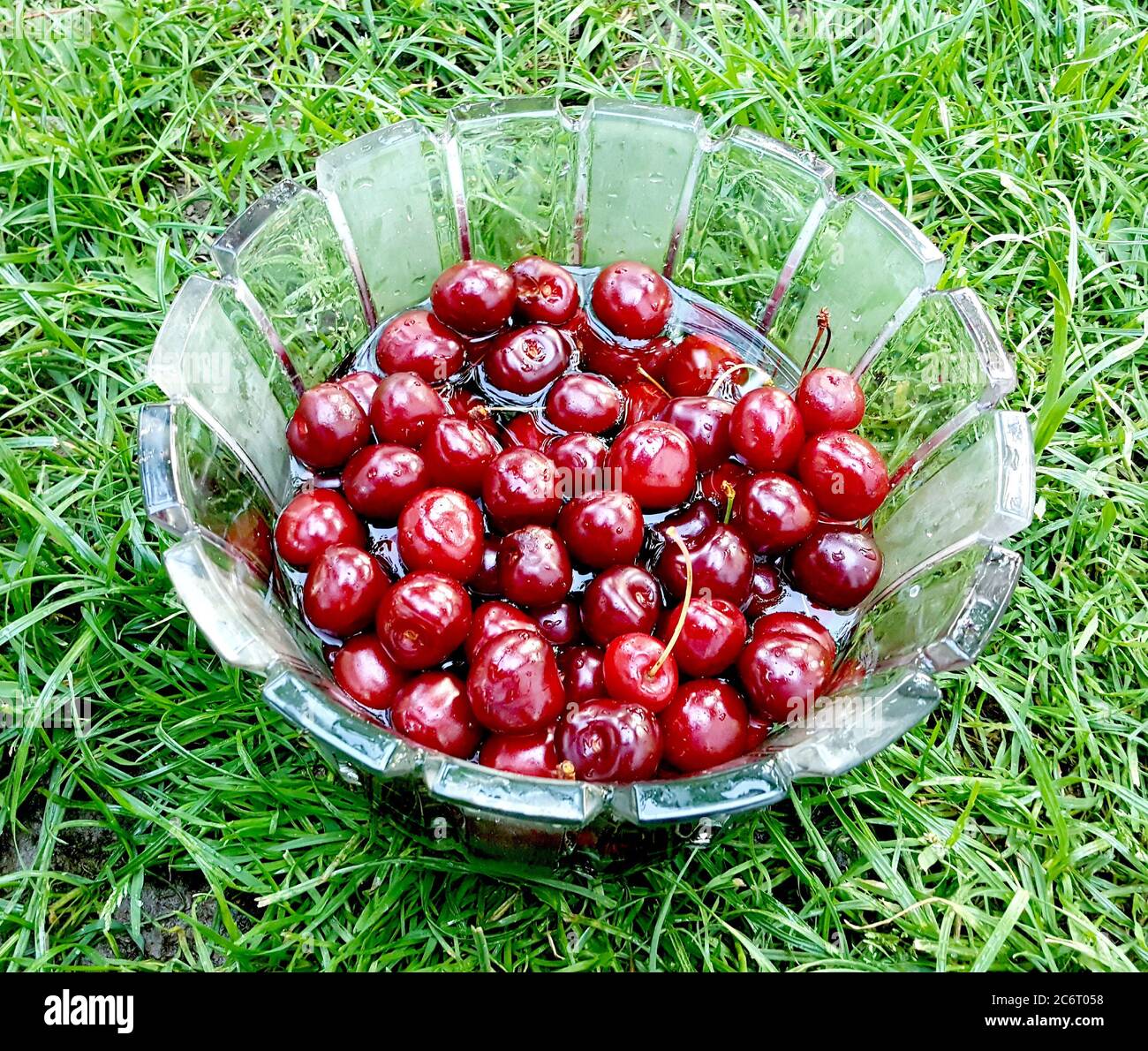 fresh picked sweet red cherry background on green grass Stock Photo - Alamy