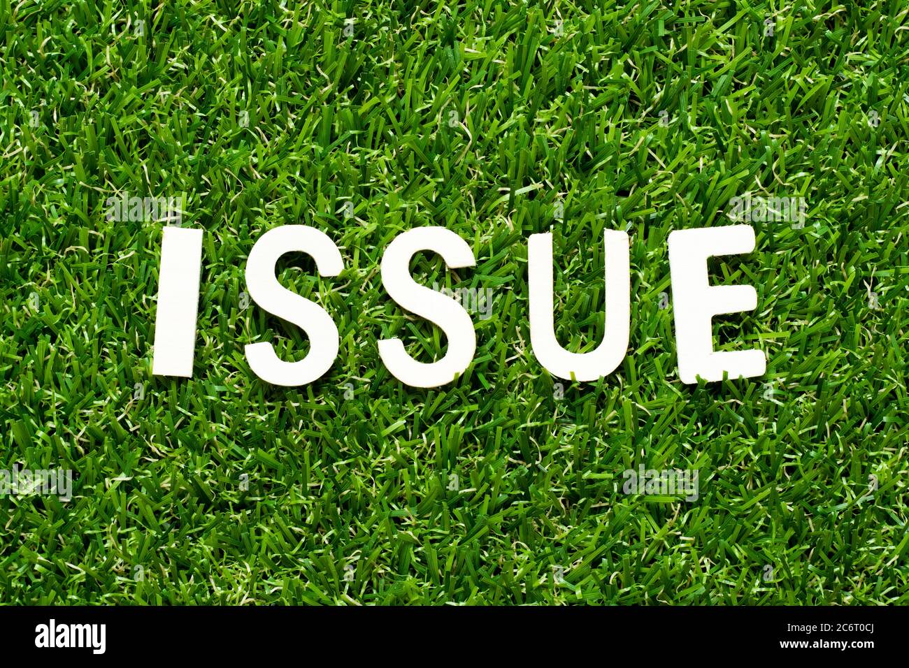 Wood alphabet letter in word issue on green grass background Stock ...