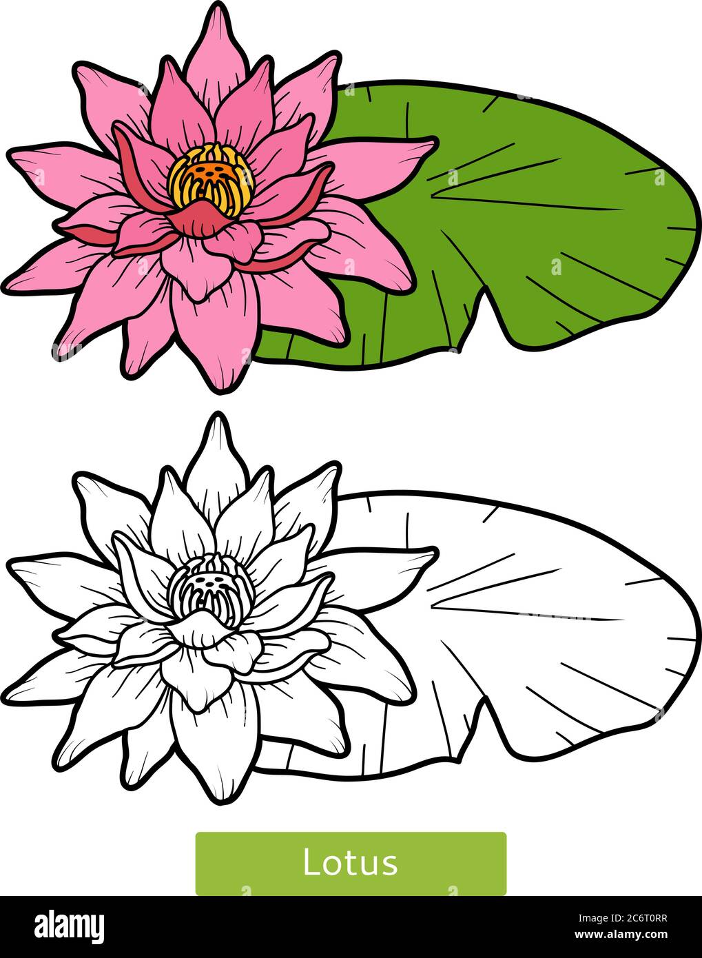 Lotus Drawing For Kids