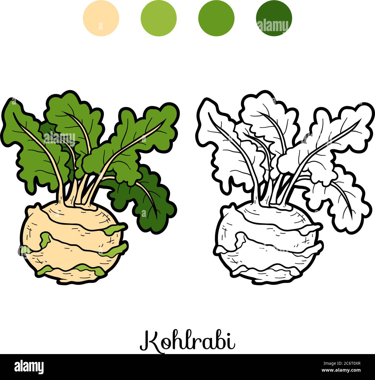 Coloring book for children, vegetables, Kohlrabi Stock Vector Image ...